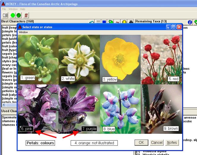 Instructions and Tutorial for Using Key