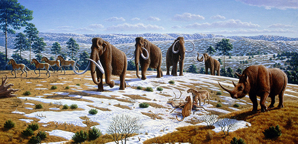 Mammoth, Mammoth, Tusked and Hairy - Canadian Museum of Nature
