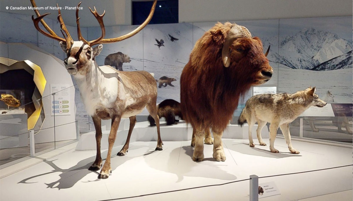 Global Impact - Canadian Museum of Nature