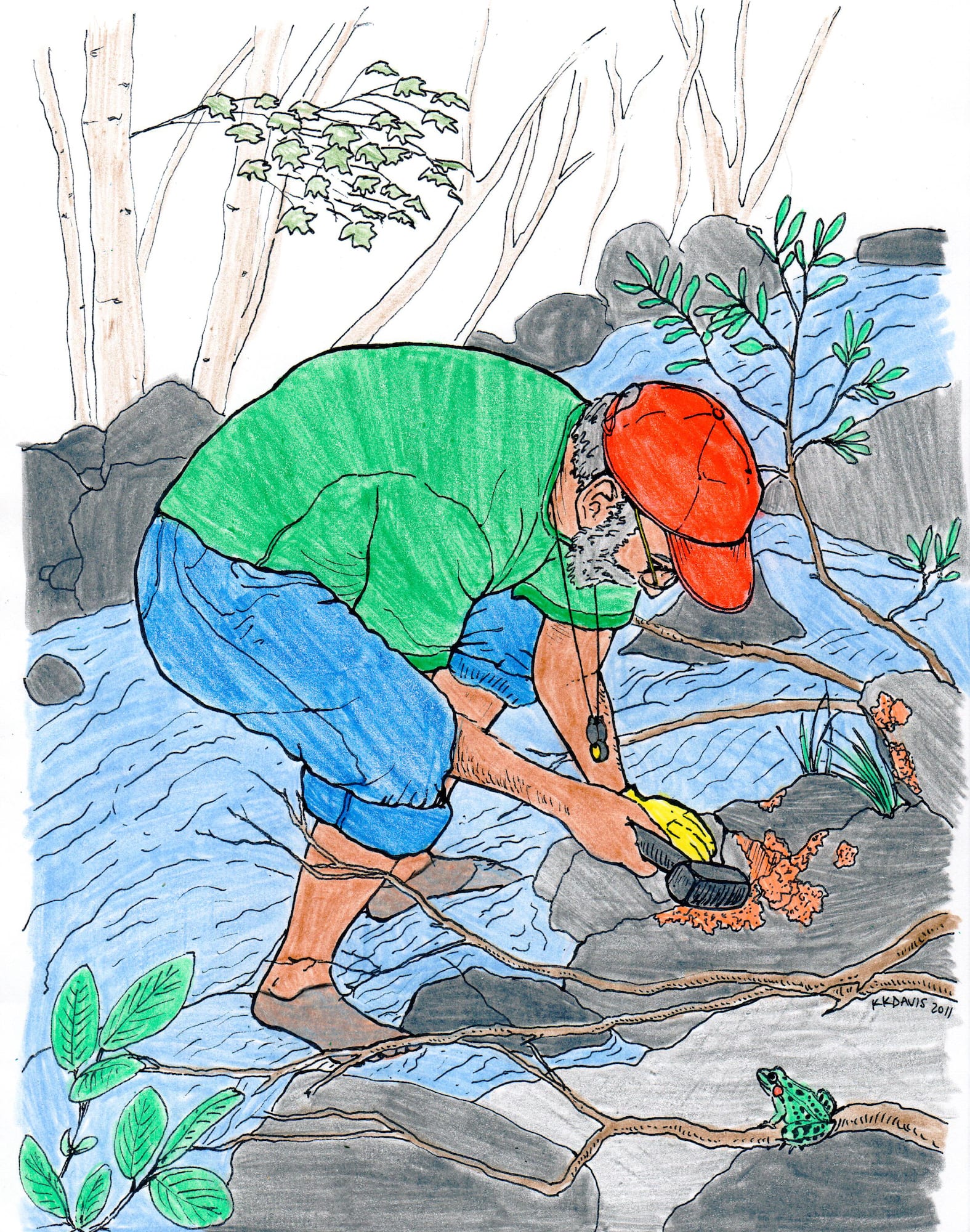 Collecting Lichen - Canadian Museum of Nature