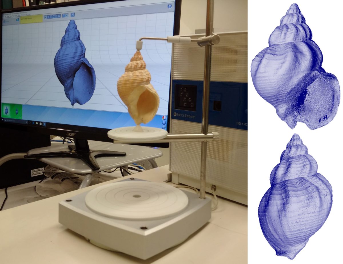 Our Science - Canadian Museum of Nature