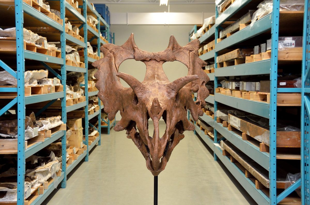 The Arctic Centre - Canadian Museum of Nature