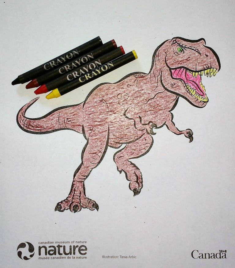 Dinosaurs - Canadian Museum of Nature