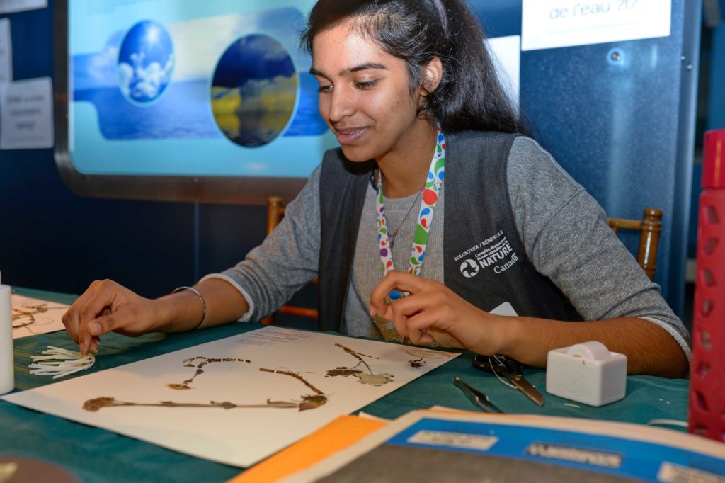 Volunteer - Canadian Museum of Nature