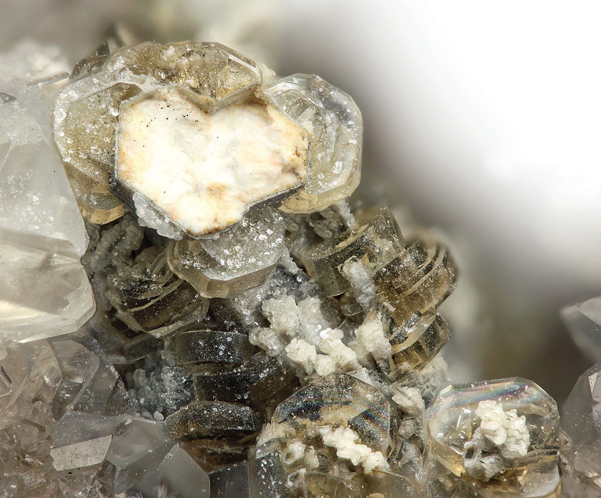 A Wet Visitor from the Asteroid Belt - Canadian Museum of Nature
