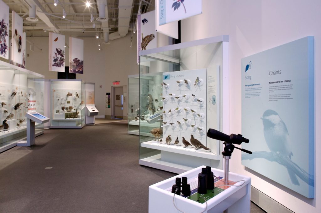 Bird Gallery - Canadian Museum of Nature