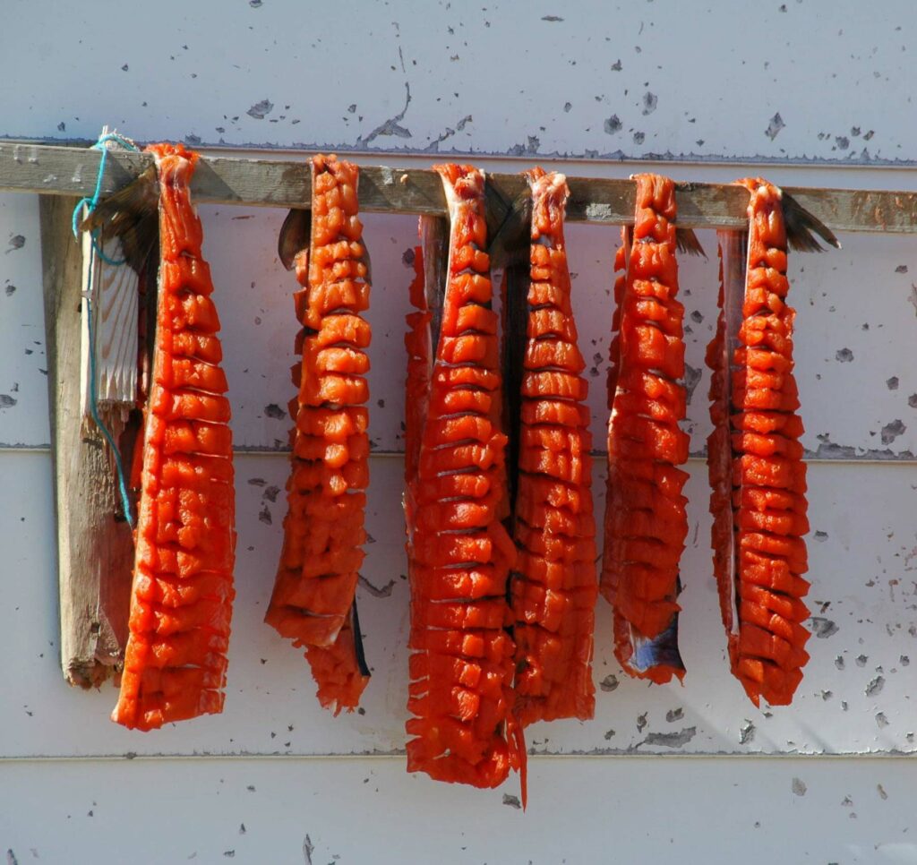 Canada Goose Arctic Gallery - Canadian Museum of Nature