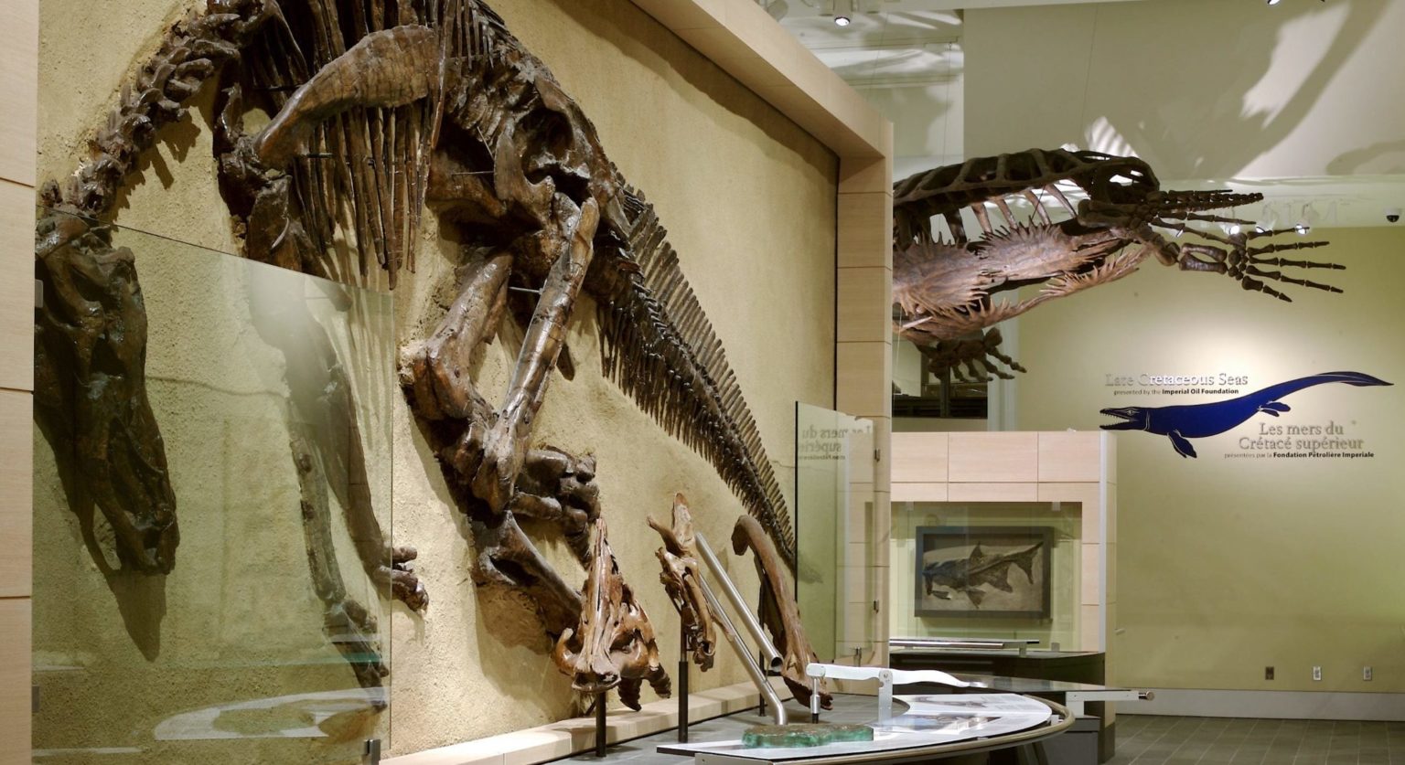 Fossil Gallery - Canadian Museum of Nature