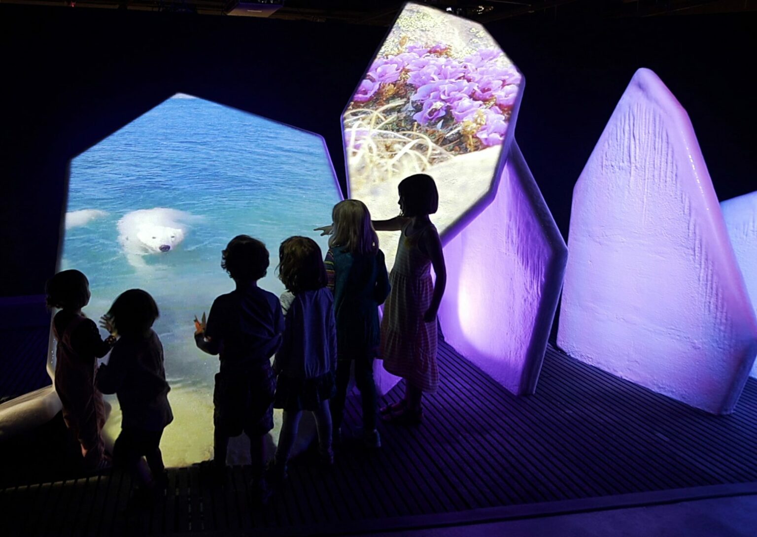 Exhibitions - Canadian Museum of Nature