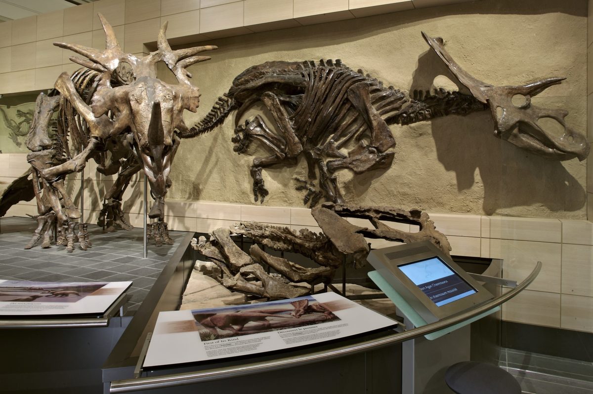 Media Centre - Canadian Museum of Nature