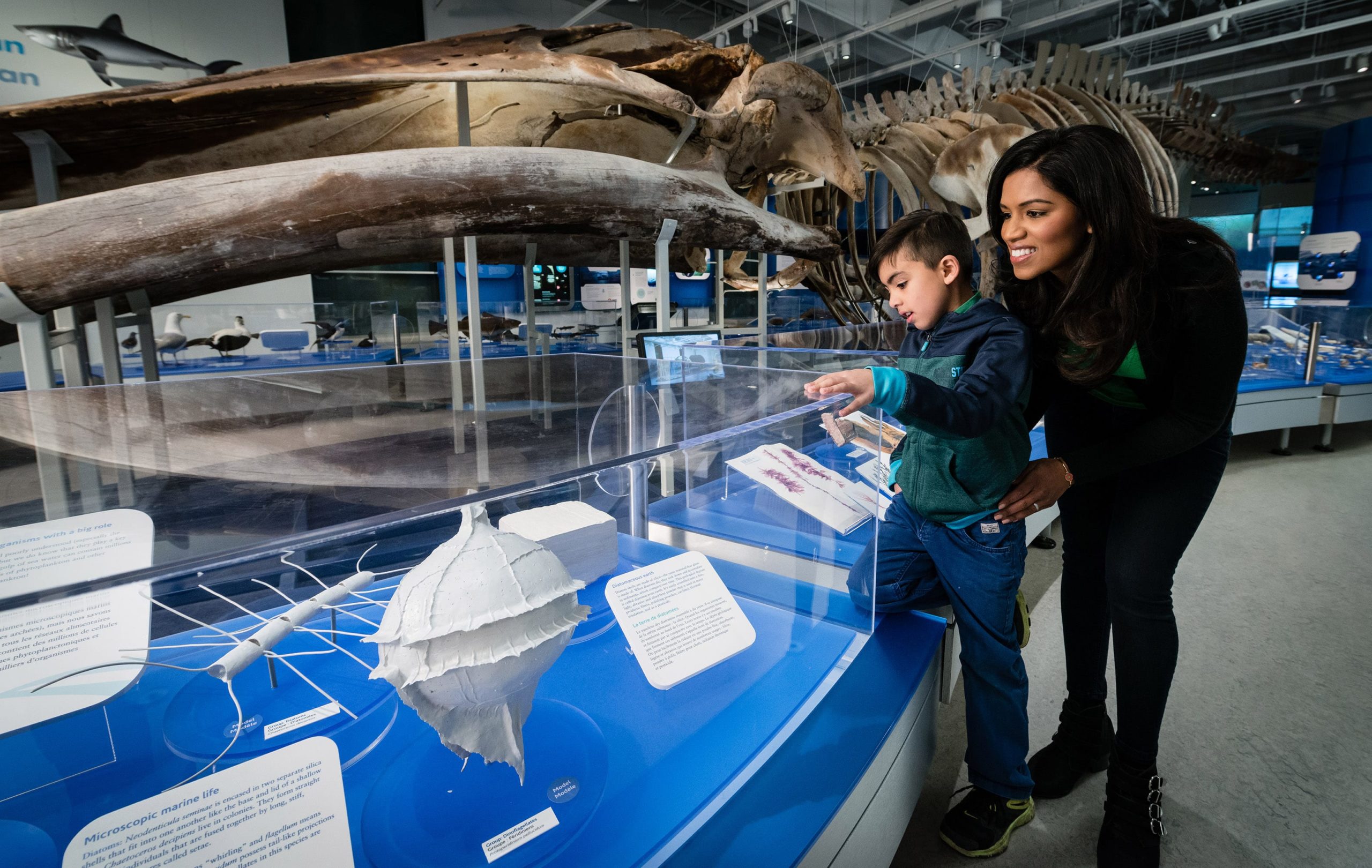 Water Gallery - Canadian Museum of Nature