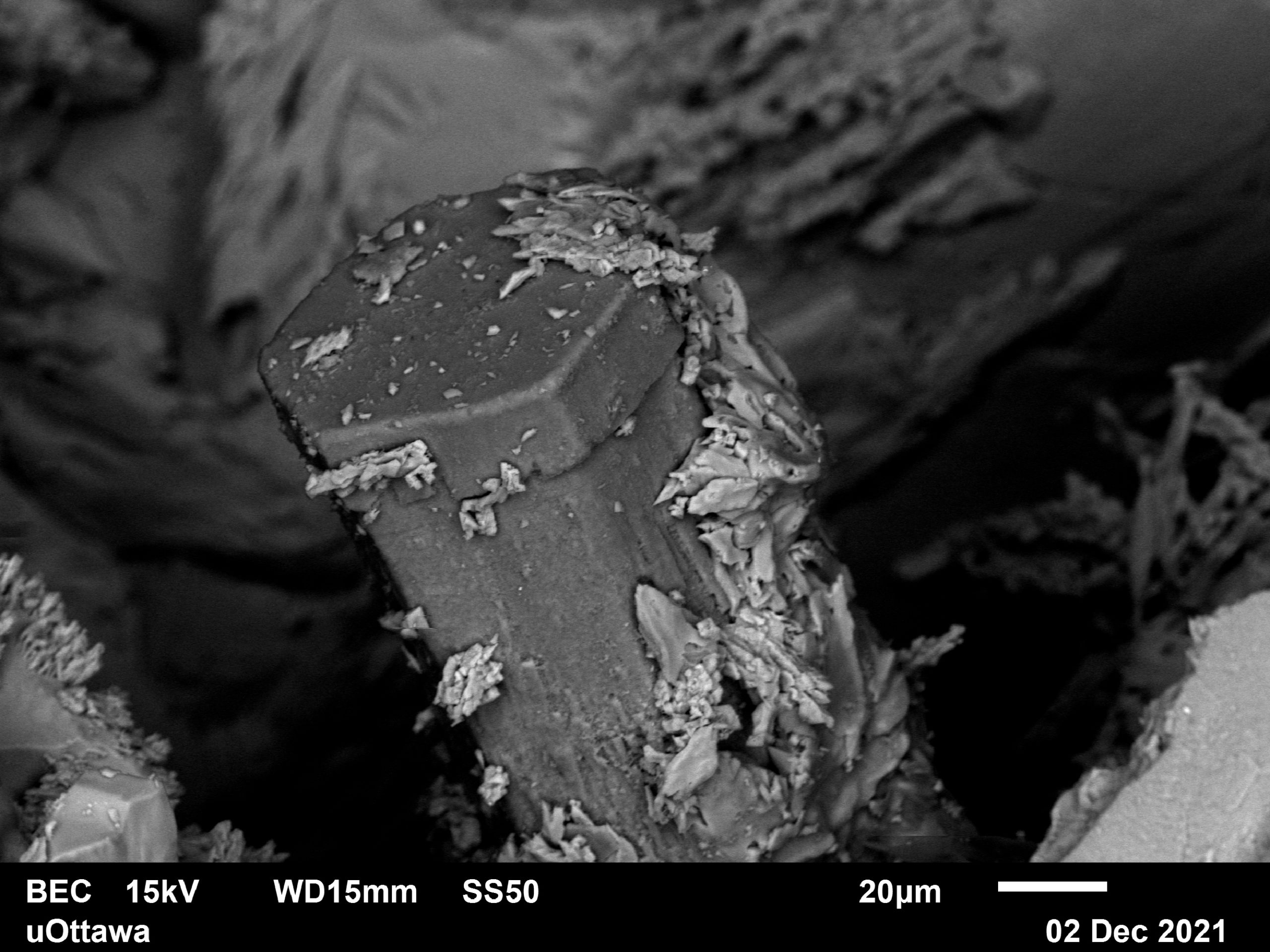 Evolution of Alkaline Environments - Canadian Museum of Nature