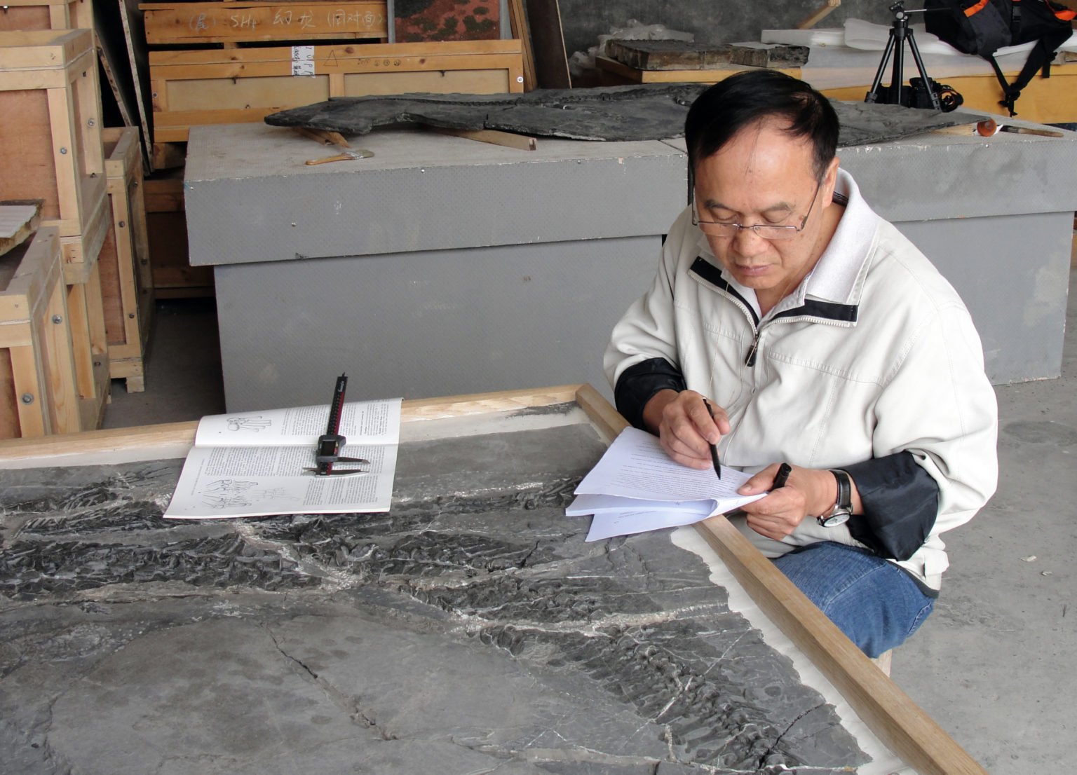 Mesozoic Reptiles - Canadian Museum of Nature