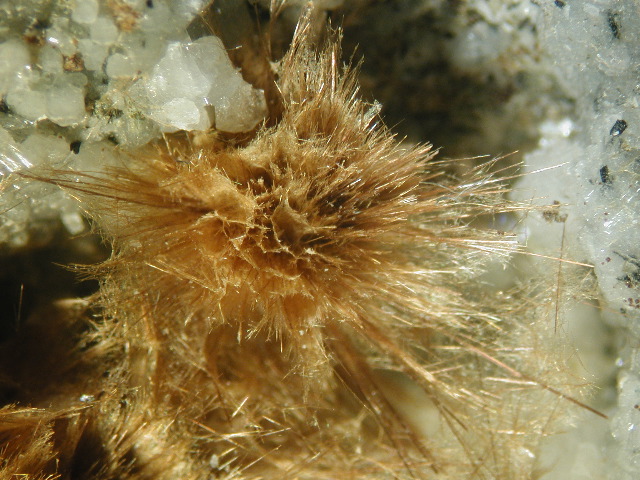 Water from a stone? - Canadian Museum of Nature