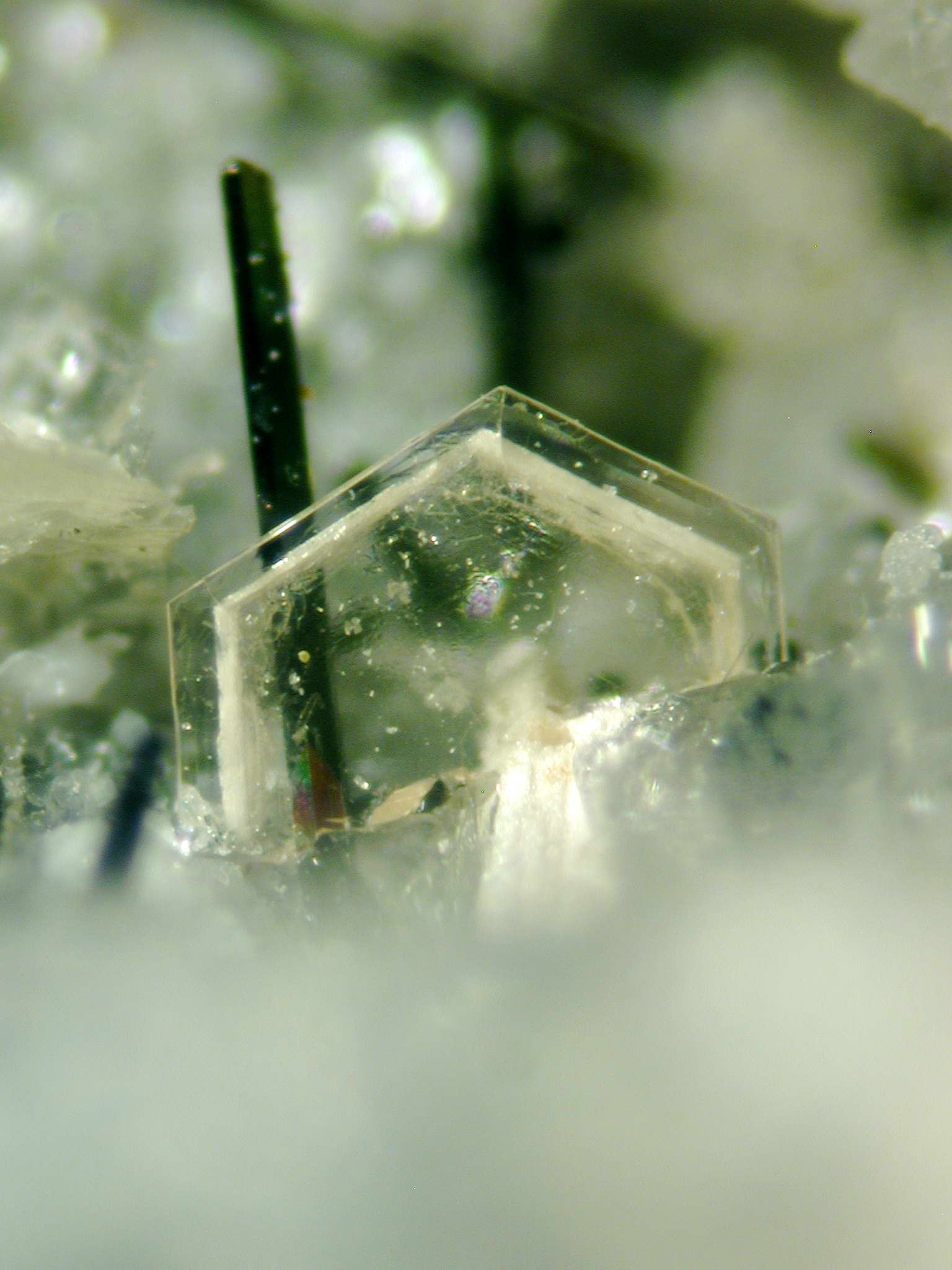 Water from a stone? - Canadian Museum of Nature