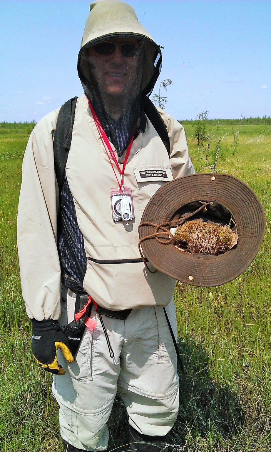 Fluorescent Lichens: Dazzling Creatures of Light - Canadian Museum of ...