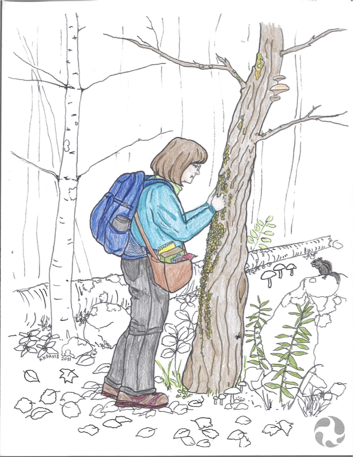 Collecting Moss - Canadian Museum of Nature