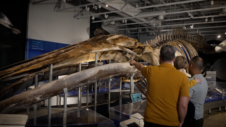 Canadian Museum of Nature