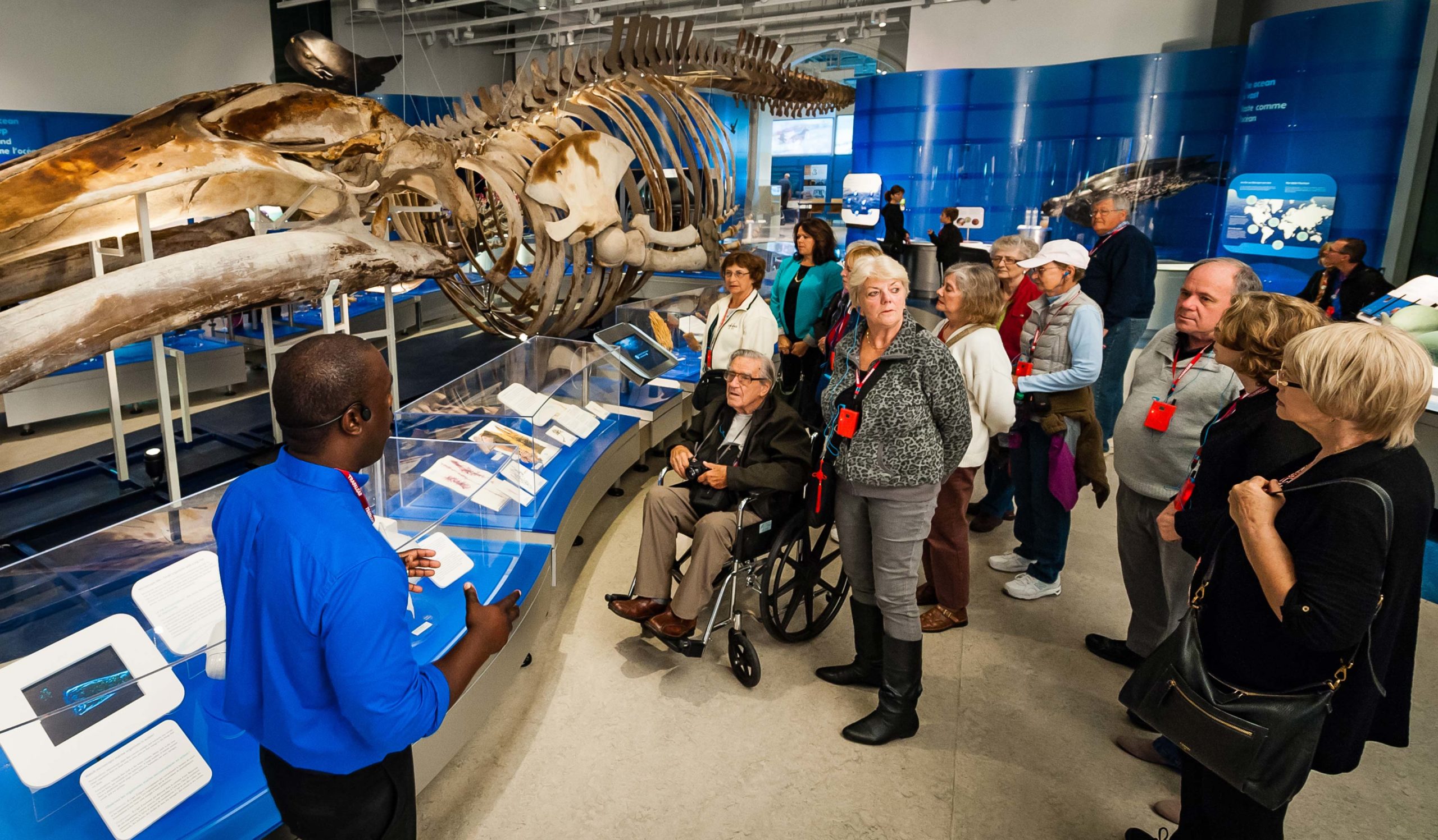 Accessibility - Canadian Museum of Nature