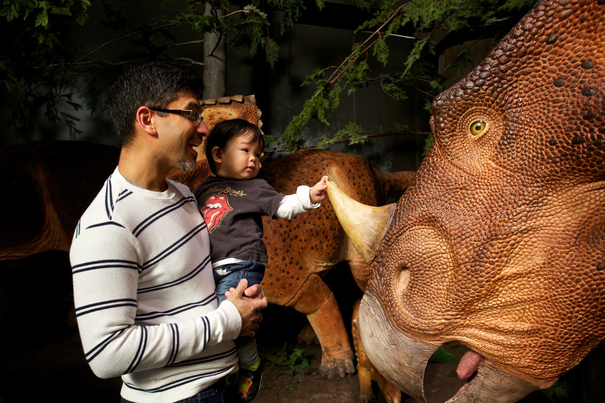 Admission Fees - Canadian Museum of Nature