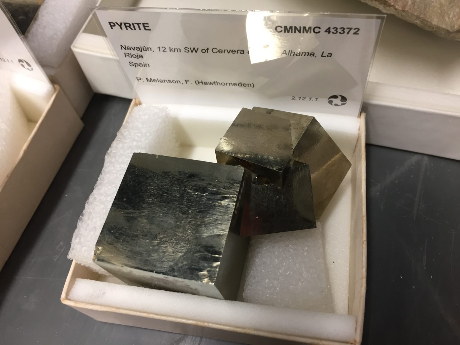 Pyrite Disease - Canadian Museum of Nature