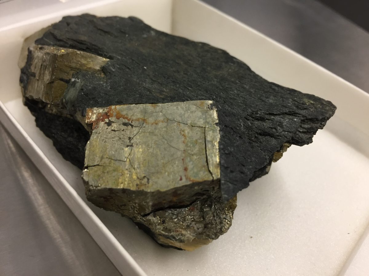 Pyrite Disease - Canadian Museum of Nature