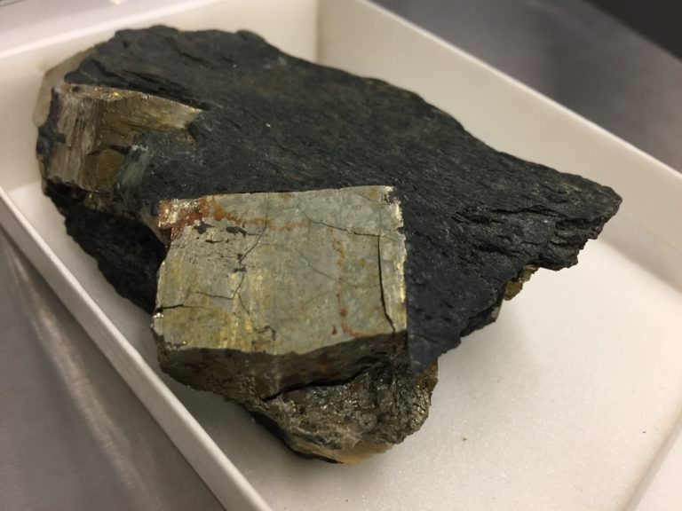 Pyrite Disease - Canadian Museum of Nature