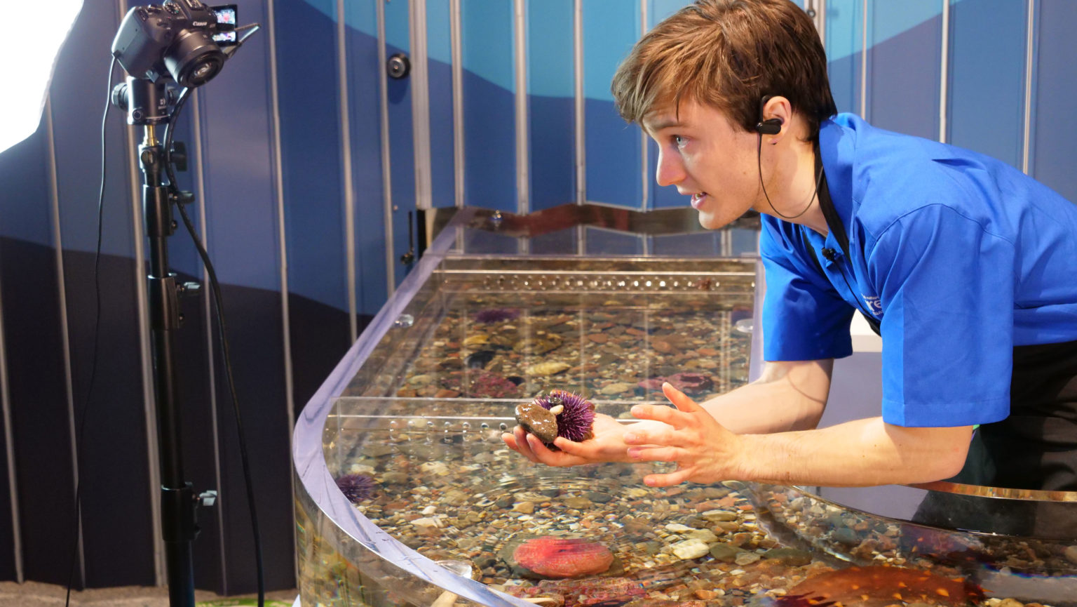 For Educators - Canadian Museum of Nature