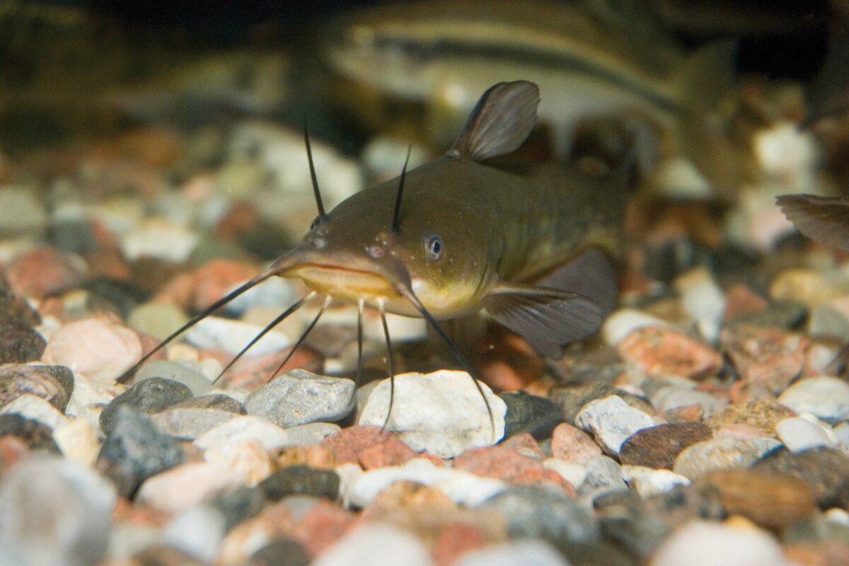 Water Gallery - Canadian Museum of Nature