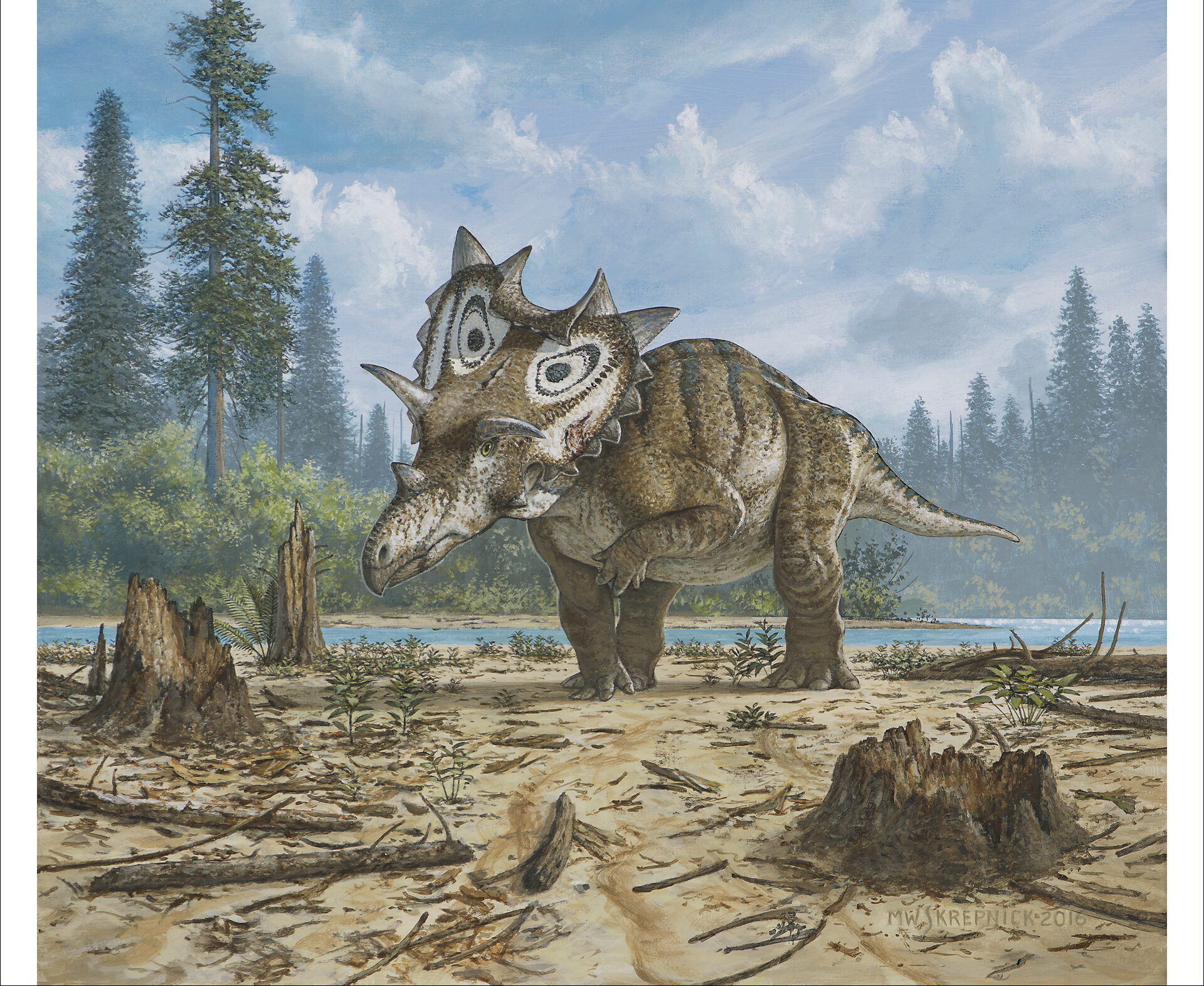 Spiclypeus shipporum, the New Dino in Town - Canadian Museum of Nature