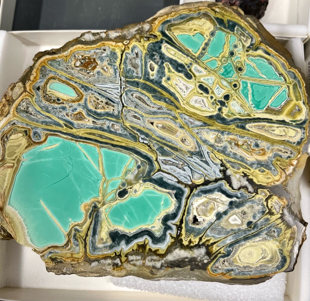 Room to Grow - Canadian Museum of Nature