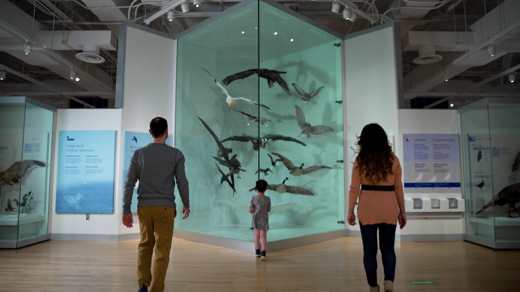 What's On - Canadian Museum of Nature