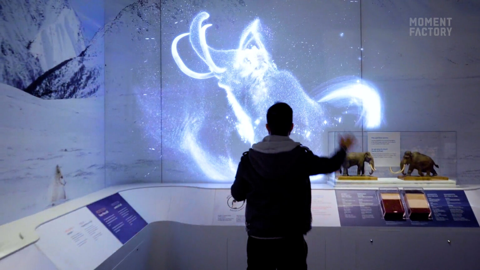 Canadian Museum of Nature