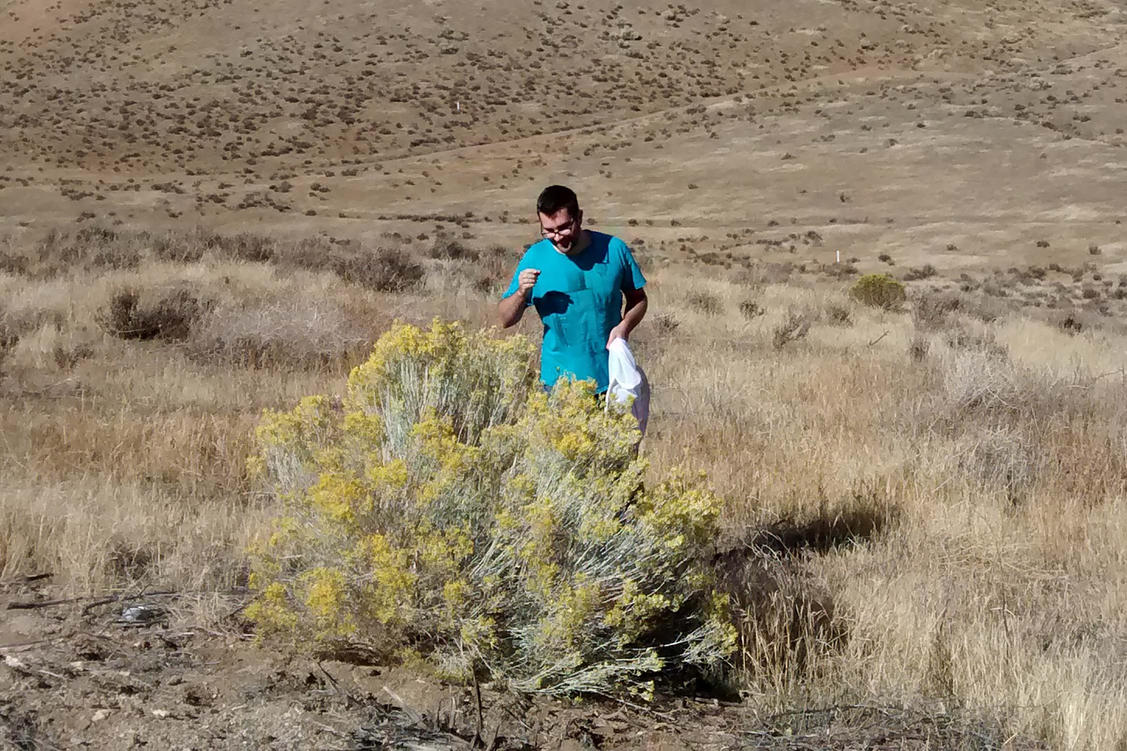 Sharing scientific expertise to help pollinators - Canadian Museum of ...