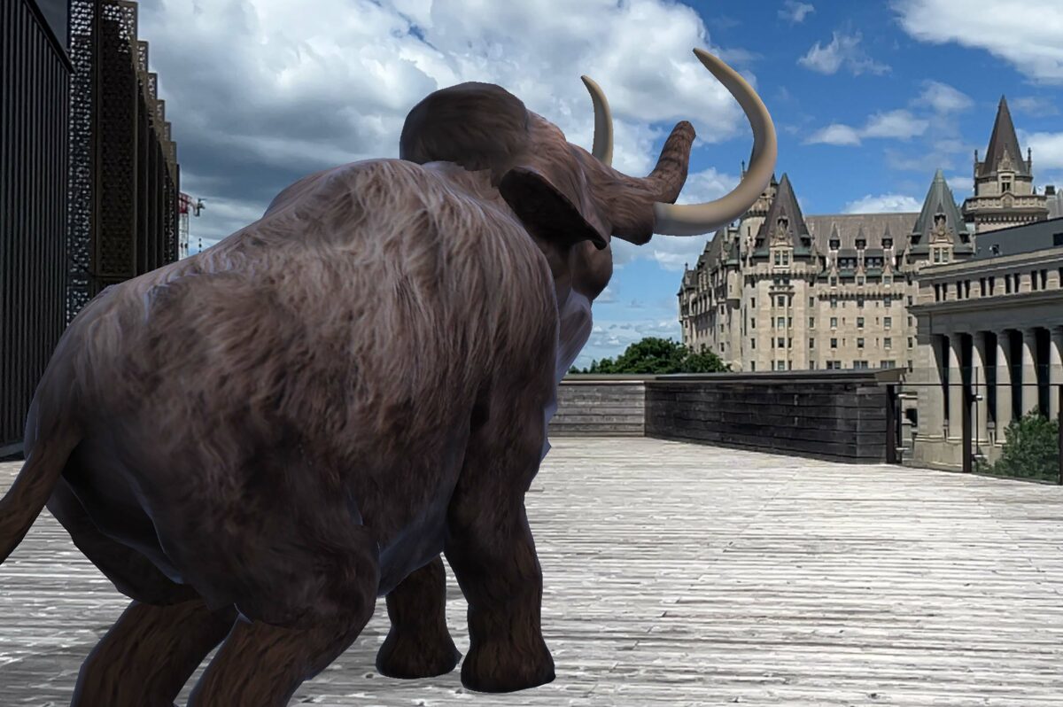 Media Centre - Canadian Museum of Nature