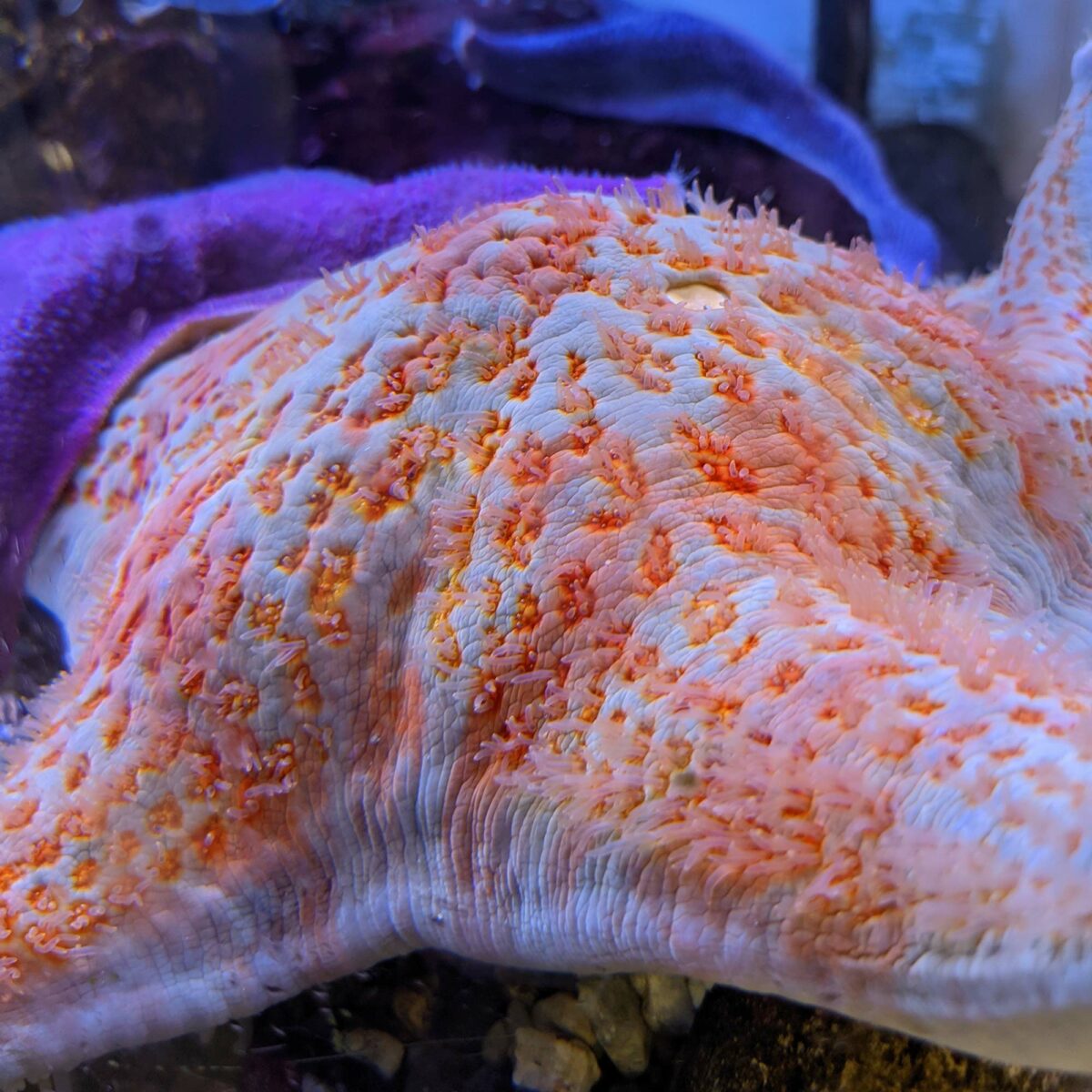 For Educators - Canadian Museum of Nature