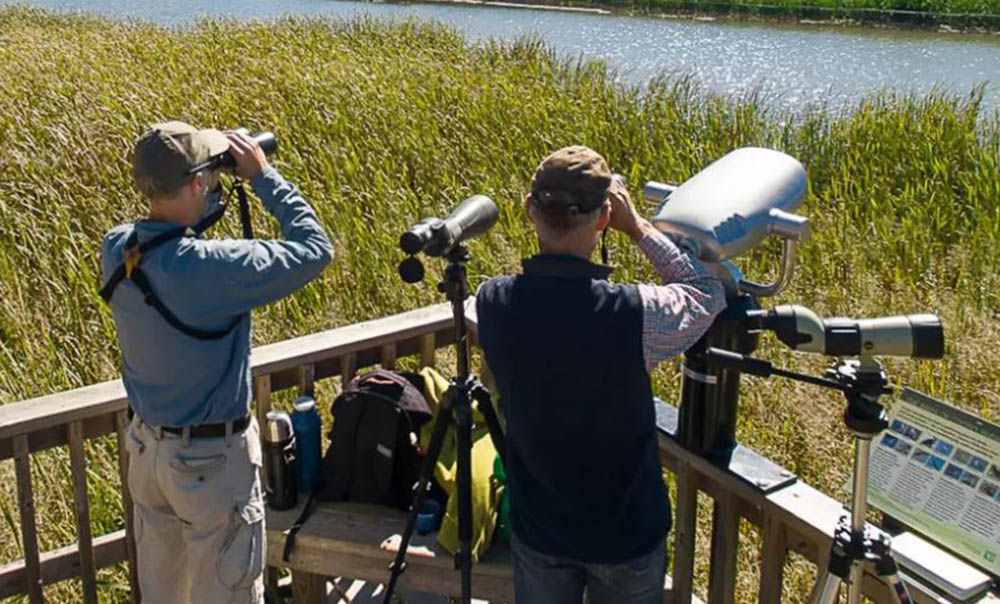 Royal Botanical Gardens - Canadian Museum of Nature