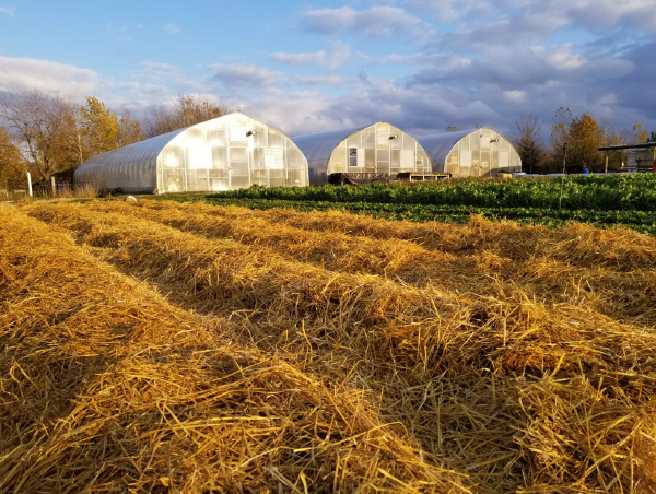 Fresh City Farms - Canadian Museum of Nature