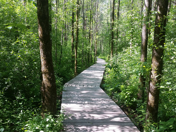 Nature-Action Québec - Canadian Museum of Nature