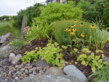 Helping Nature Heal - Canadian Museum of Nature