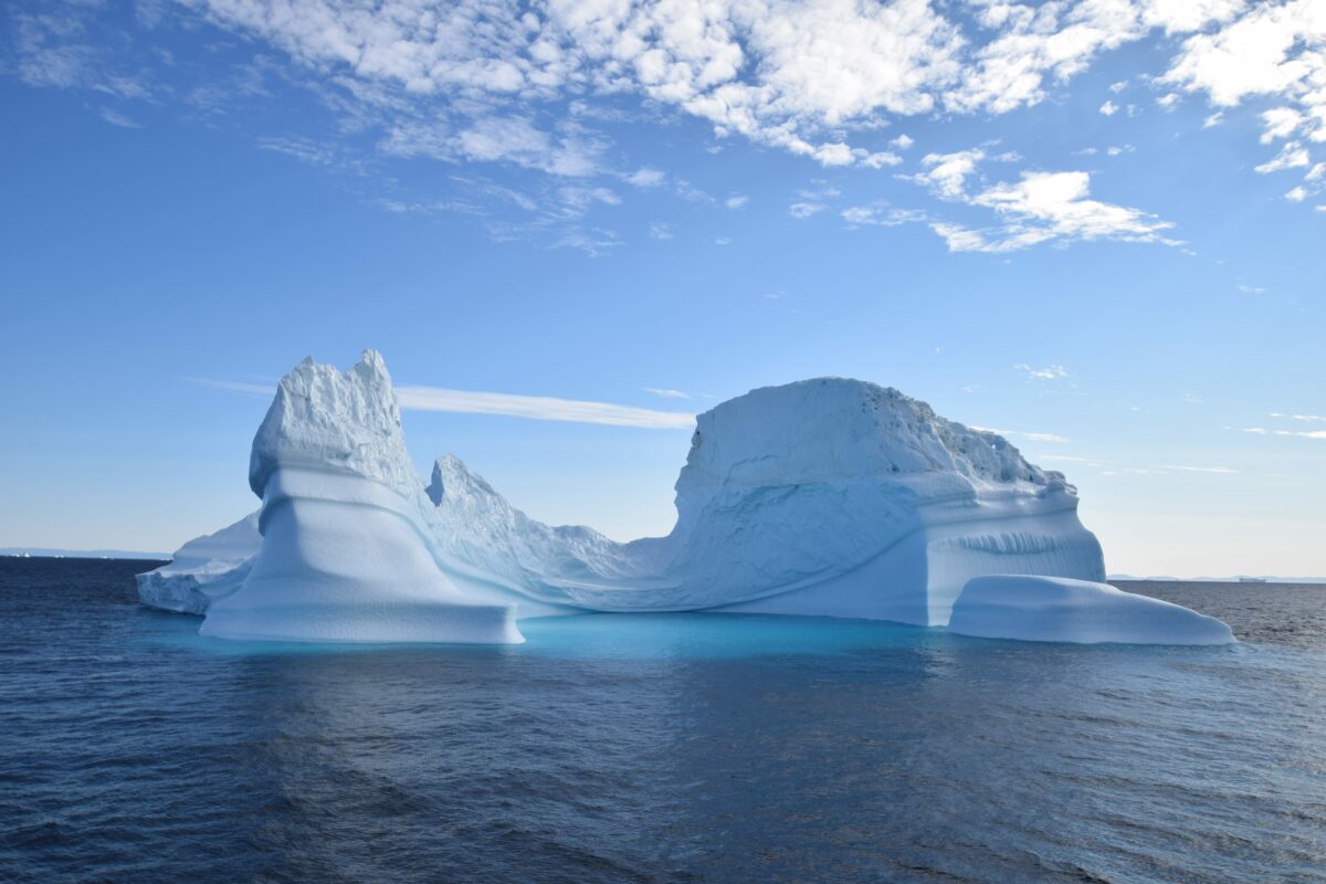 CMN Library and Archives - Canadian Museum of Nature