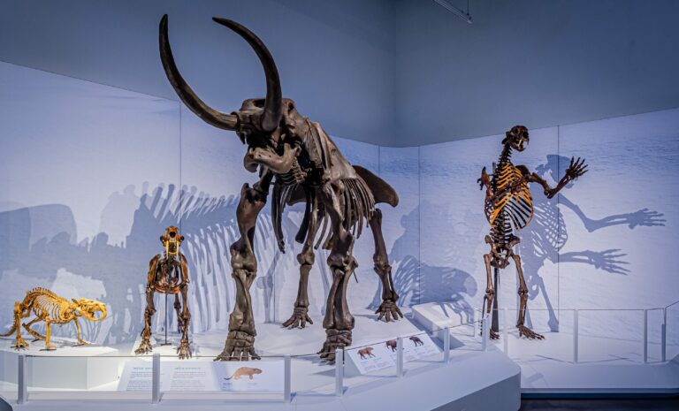 Prehistoric Animals - Canadian Museum of Nature