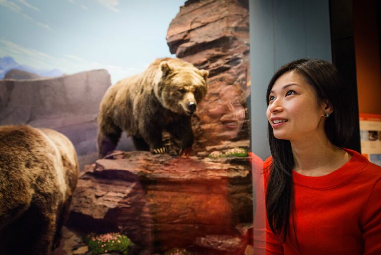 Canadian Museum of Nature