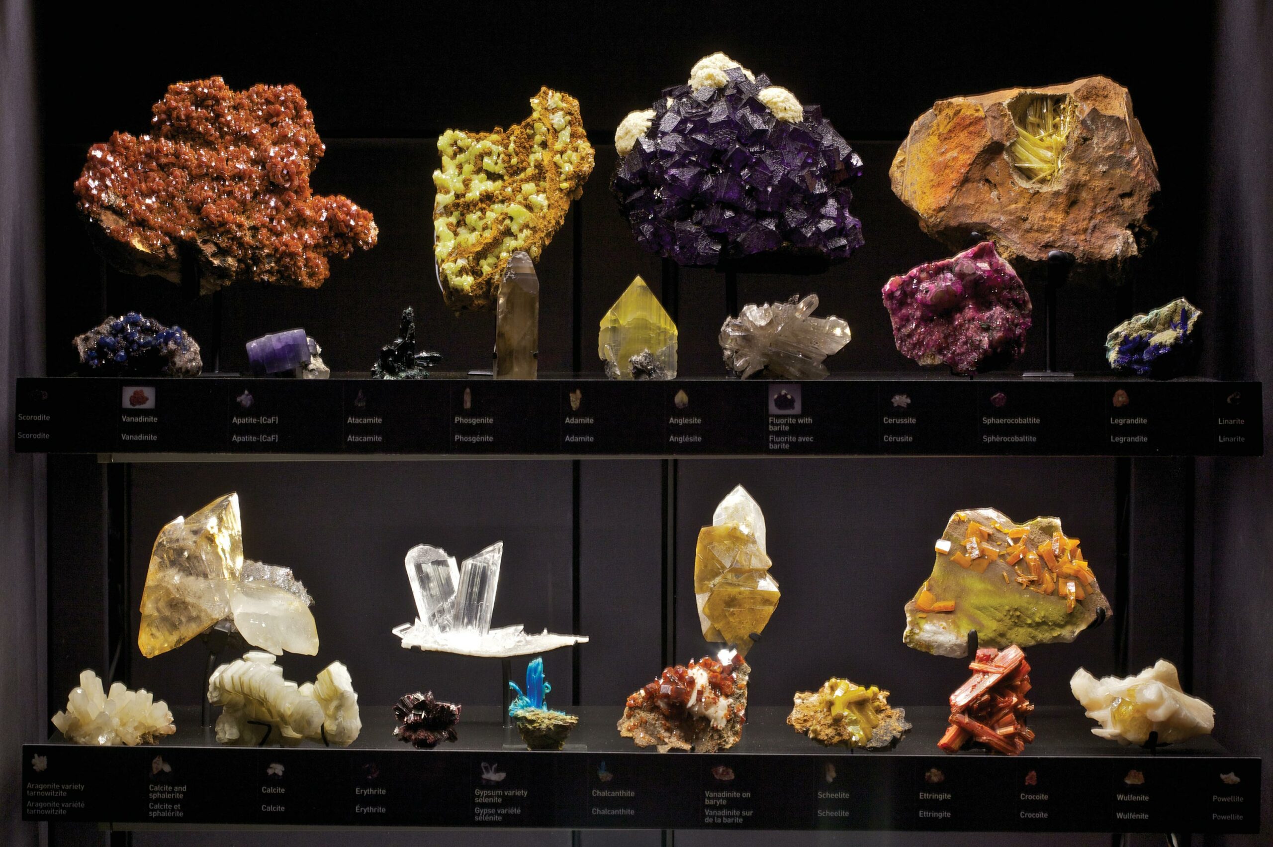 Mineral Discovery Lab—On-Site School Workshop - Canadian Museum of Nature