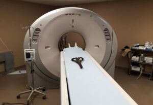 Champsosaurus - Canadian Museum of Nature