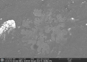 Dendrites in rock - Canadian Museum of Nature