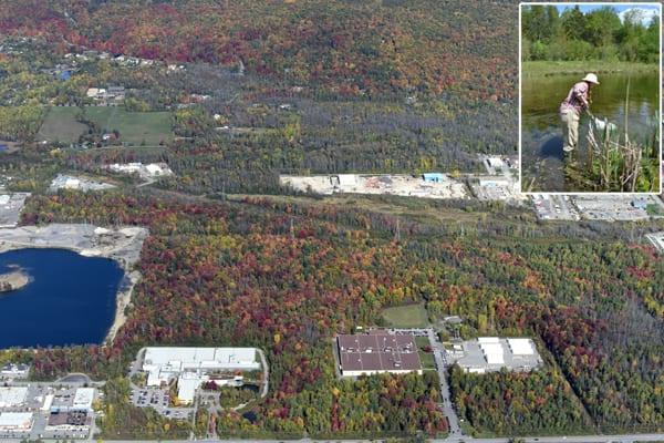 Small pond holds big fish diversity, and drama - Canadian Museum of Nature