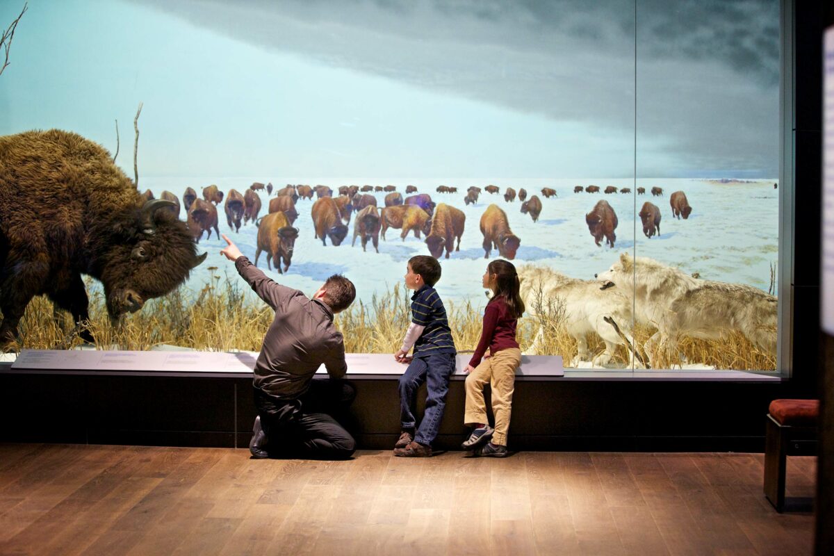 Canadian Museum of Nature