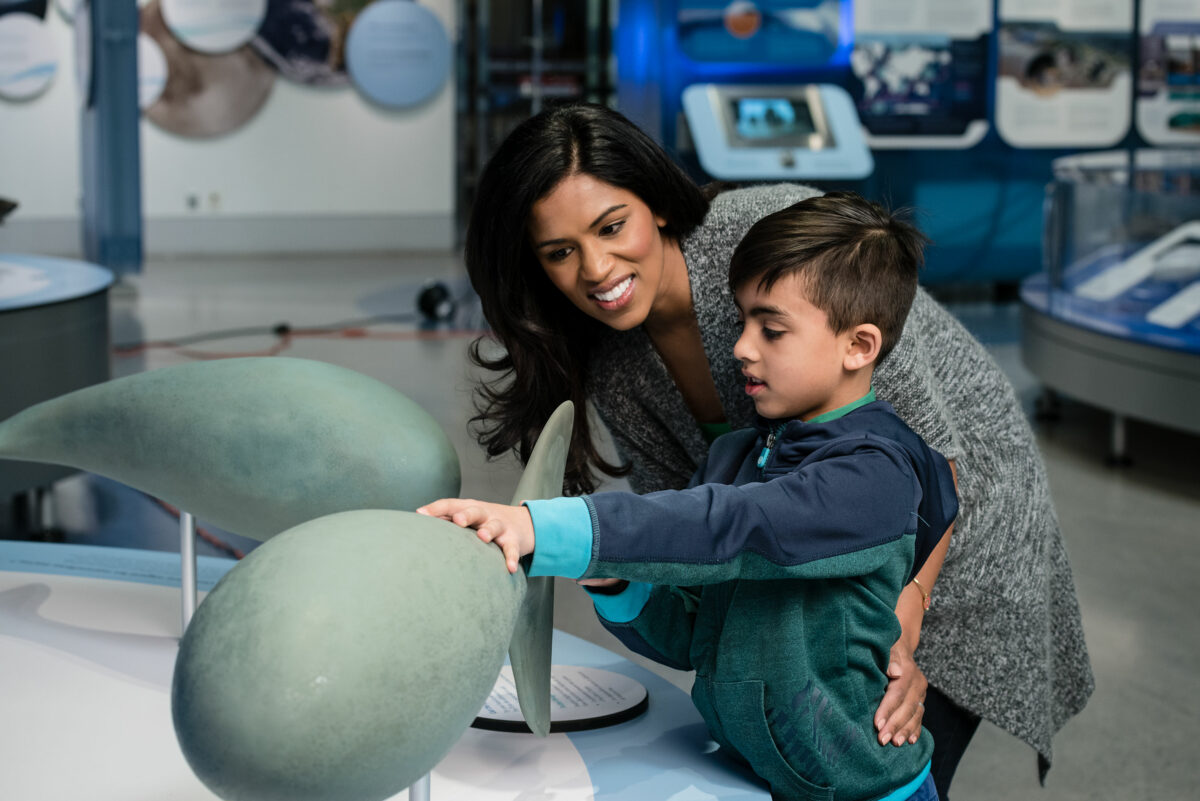 Admission Fees - Canadian Museum of Nature