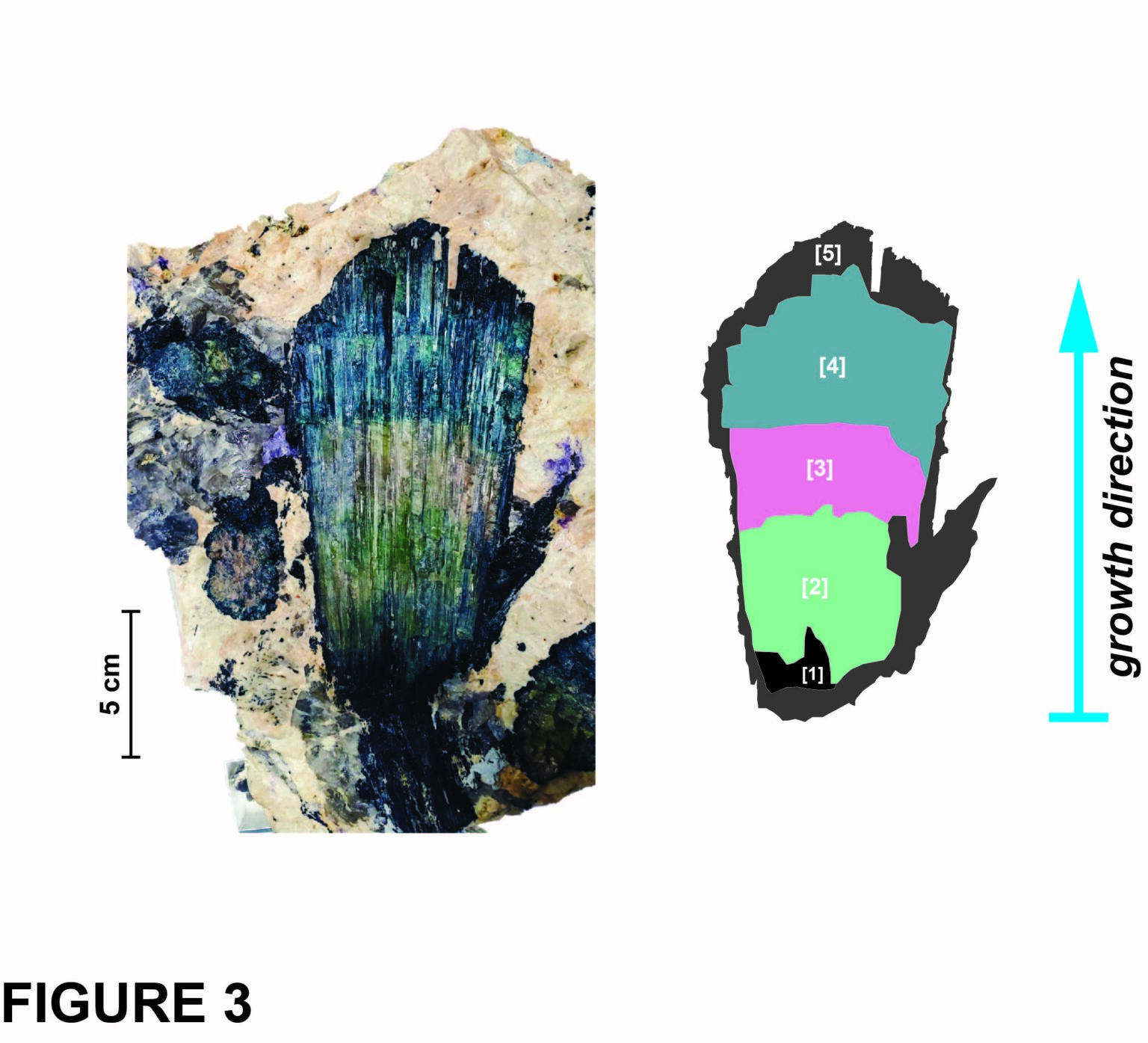 Pyrite Disease - Canadian Museum of Nature